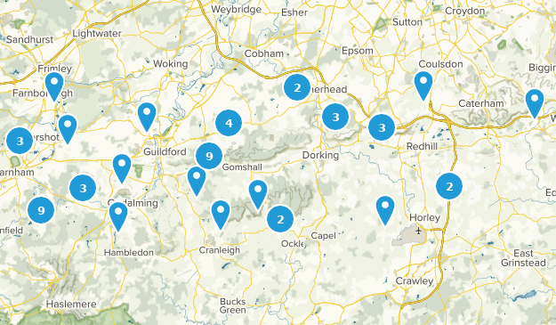 Best Bird Watching Trails in Surrey Hills Area of Outstanding Natural ...