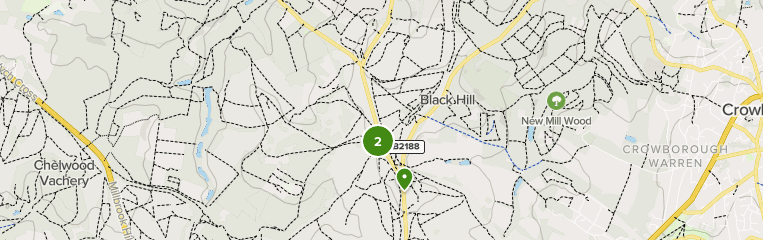 Best Walking Trails in Ashdown Forest | AllTrails