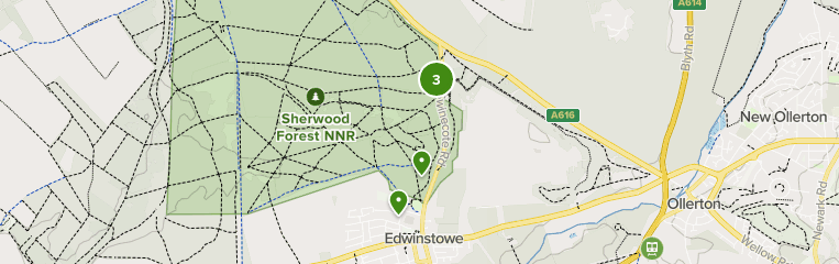 Sherwood Forest NNR : les 10 meilleures balades | AllTrails