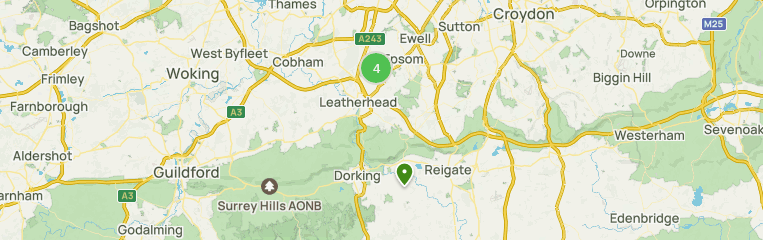 2023 Best Moderate Trails in Ashtead Common National Nature Reserve ...
