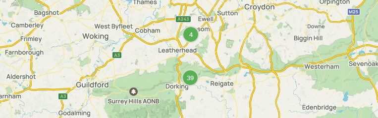 Ashtead Common National Nature Reserve: as melhores trilhas para ...