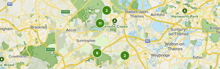 Las mejores rutas fáciles en Chobham Common | AllTrails