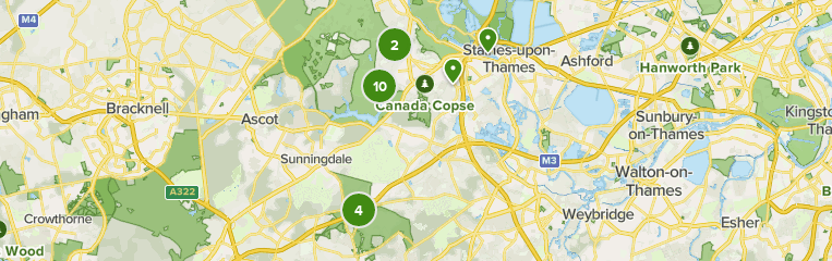 Best Forest Trails in Chobham Common | AllTrails