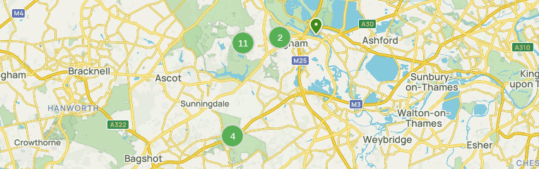 2023 Best Forest Trails in Chobham Common | AllTrails