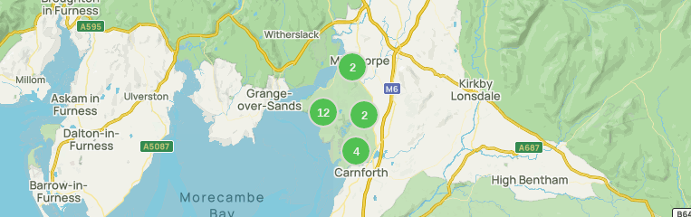 2023 Best 10 Wildflowers Trails in Arnside and Silverdale Area of ...