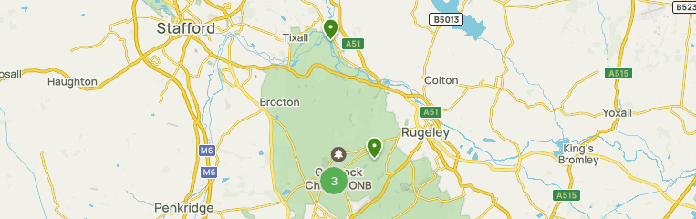 2023 Best Dog Friendly Trails in Cannock Chase Area of Outstanding ...