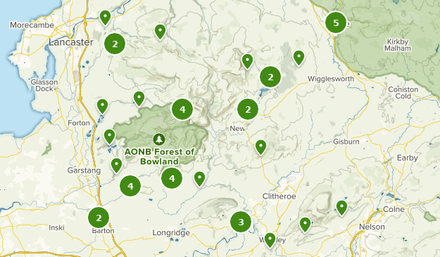 Best Bird Watching Trails in Forest of Bowland Area of Outstanding ...