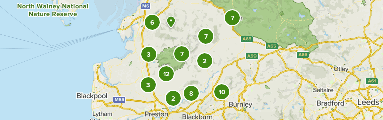 Best wild flowers trails in Forest of Bowland Area of Outstanding ...