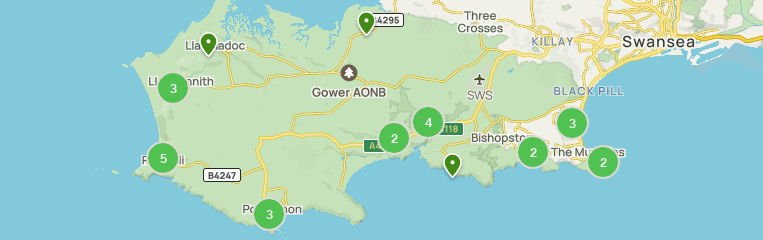 2023 Best 10 Wildflowers Trails in Gower Peninsula Area of Outstanding ...