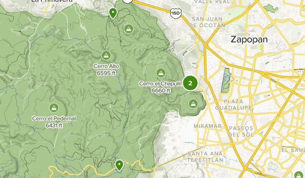 Best Views Trails in Bosque de la Primavera | AllTrails