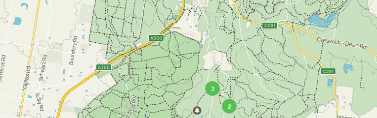 2023 Best Camping Trails in Creswick State Forest | AllTrails