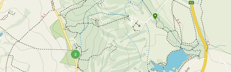 Best Wild Flowers Trails in Allestree Park | AllTrails