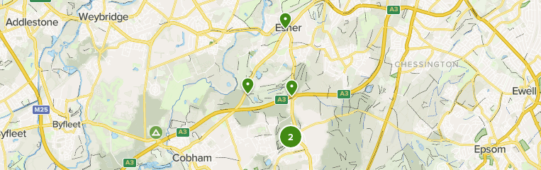 Best 10 River Trails in Esher Common | AllTrails