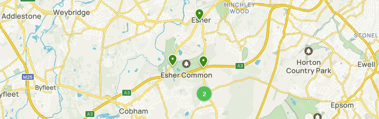 Best River Trails in Esher Common | AllTrails