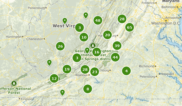 Best Bird Watching Trails in George Washington and Jefferson National ...