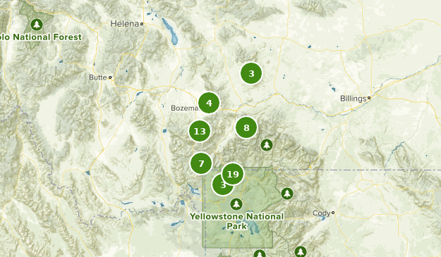 Best Camping Trails in Custer Gallatin National Forest | AllTrails