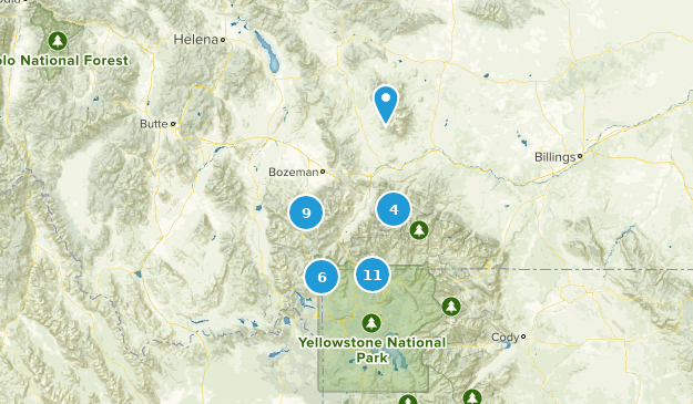 Best Fishing Trails in Custer Gallatin National Forest | AllTrails