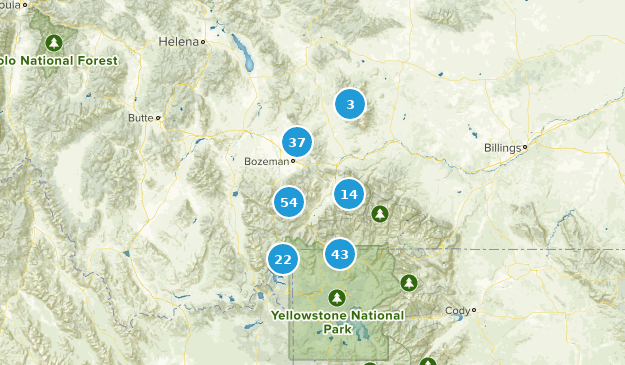Best Forest Trails in Custer Gallatin National Forest | AllTrails
