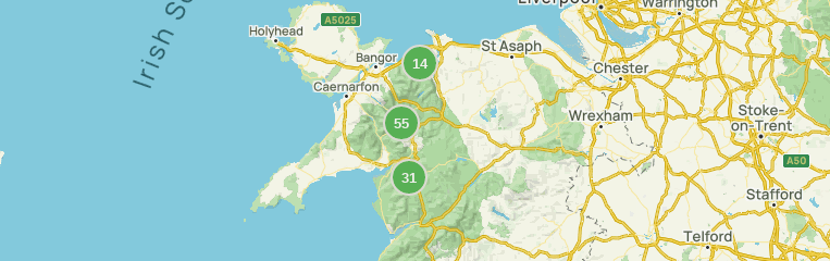 Best Wild Flowers Trails in Rhinog National Nature Reserve | AllTrails