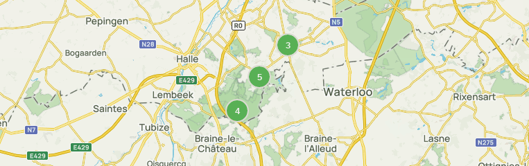 2023 Best Views Trails in Hallerbos | AllTrails