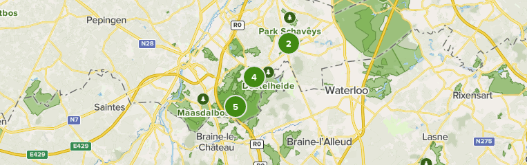 Best Wild Flowers Trails in Hallerbos | AllTrails