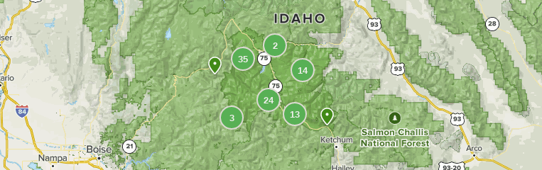 Best 10 Forest Trails in Sawtooth National Recreation Area | AllTrails