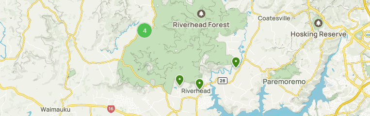 Best Easy Trails in Riverhead Forest | AllTrails