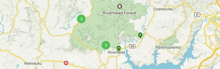 2023 Best Views Trails in Riverhead Forest | AllTrails