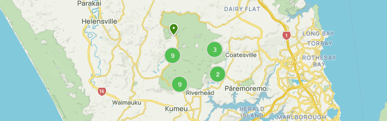 2023 Best 10 Walking Trails in Riverhead Forest | AllTrails