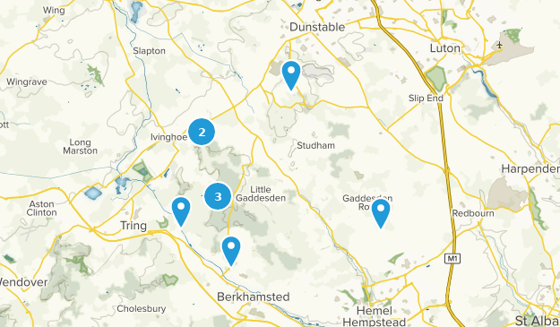 Best Views Trails in Ashridge Estate | AllTrails