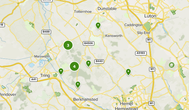 Best Views Trails in Ashridge Estate | AllTrails