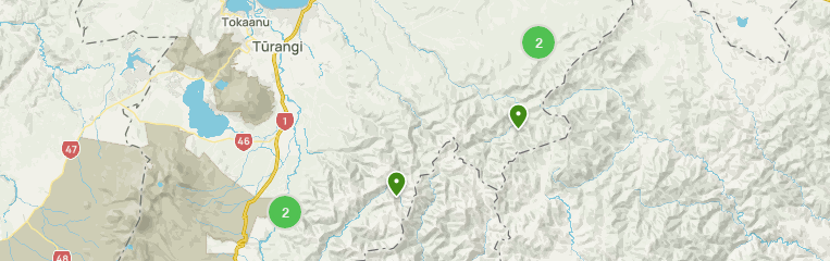 Best Camping Trails in Kaimanawa Forest Park | AllTrails