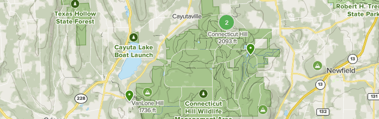 Best Bird Watching Trails in Connecticut Hill Wildlife Management Area ...