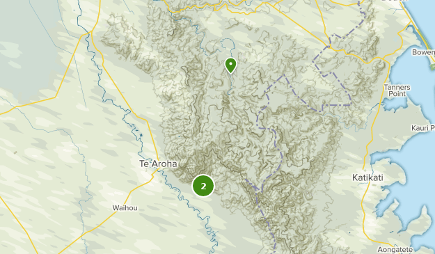 Best Walking Trails in Kaimai Mamaku Conservation Park | AllTrails