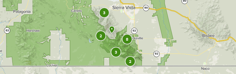 Best Forest Trails in Miller Peak Wilderness Area | AllTrails