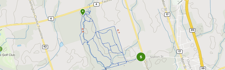 Best Forest Trails in Orono Crown Lands | AllTrails