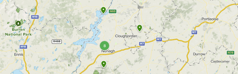 Best Long Trails in Portumna Forest Park | AllTrails