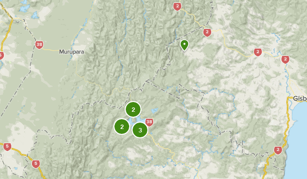 Best Backpacking Trails in Te Urewera | AllTrails