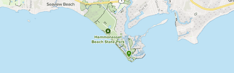 2023 Best Wheelchair Friendly Trails in Hammonasset Beach State Park ...