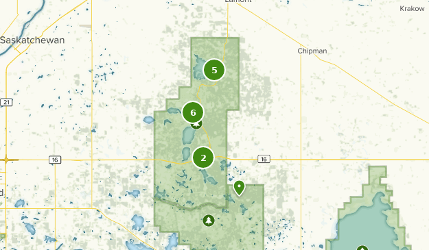 Best Forest Trails in Elk Island National Park | AllTrails
