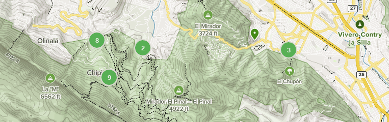 Best 10 Forest Trails in Parque Ecológico Chipinque | AllTrails