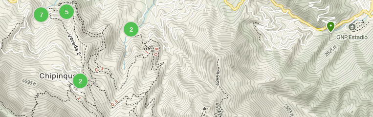 2023 Best 10 Trail Running Trails in Parque Ecológico Chipinque | AllTrails