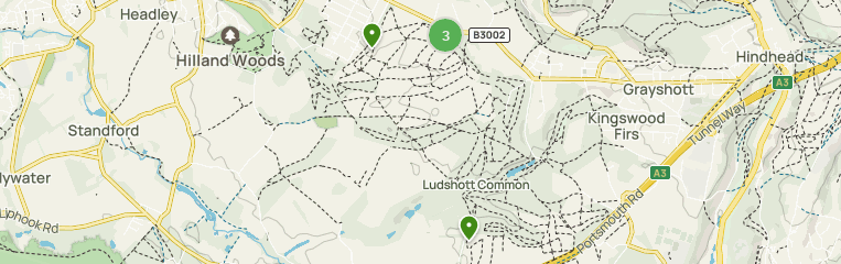 Best Easy Trails in Ludshott Commons | AllTrails