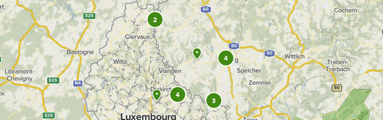 Best 10 Mountain Biking Trails in Naturpark Südeifel | AllTrails