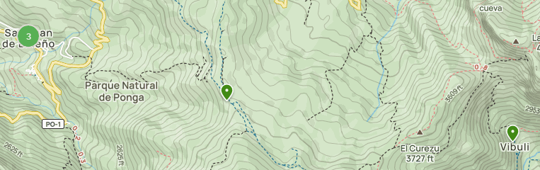 Las mejores rutas por el bosque en Parque Natural de Ponga en 2023 ...