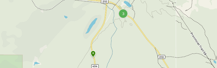 Best Forest Trails in Sandilands Provincial Forest | AllTrails