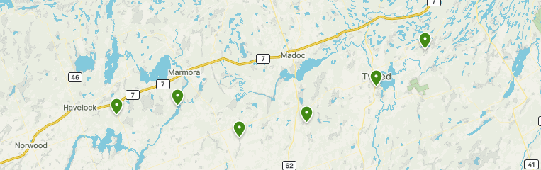 Best Moderate Trails in Tay Havelock Trail | AllTrails
