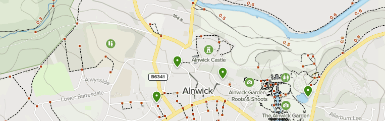 Best Wildflowers Trails in Hulme Park | AllTrails