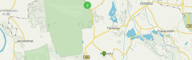 Best Wild Flowers Trails in Naturschutzgebiet Gohrischheide und ...