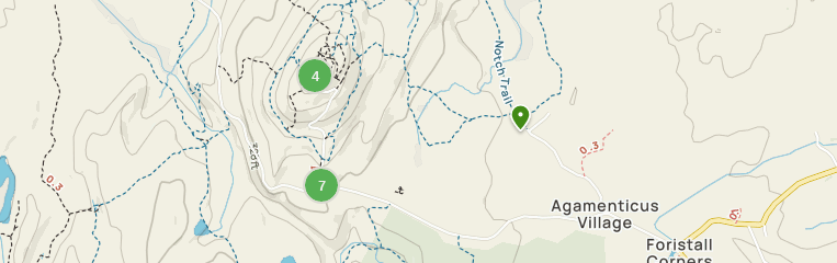 2023 Best 10 Trail Running Trails in Mount Agamenticus Conservation ...